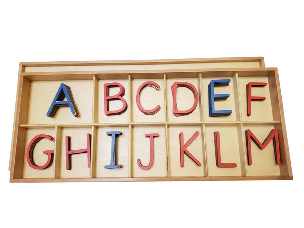 Montessori Material Large Movable Alphabets ( Print ) with Boxes – Pink ...