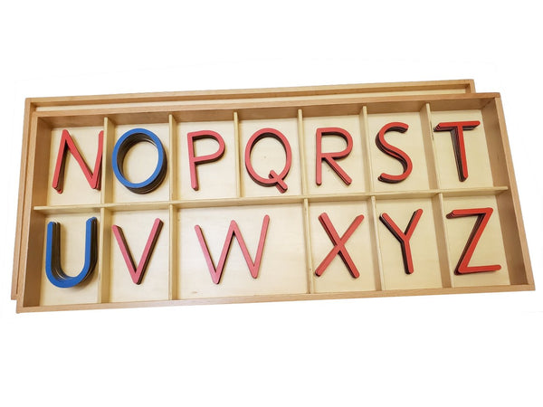 Montessori Material Large Movable Alphabets ( Print ) with Boxes – Pink ...