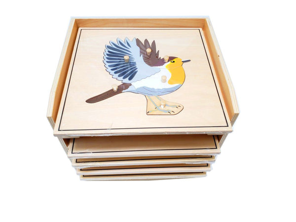 Montessori materials 5 Zoology Animal Skeleton Puzzles & Cabinet – Pink ...