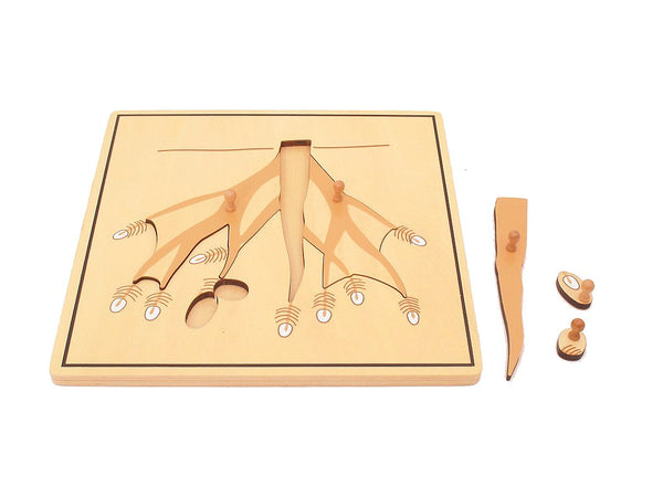 Montessori materials Root Puzzle – Pink Montessori