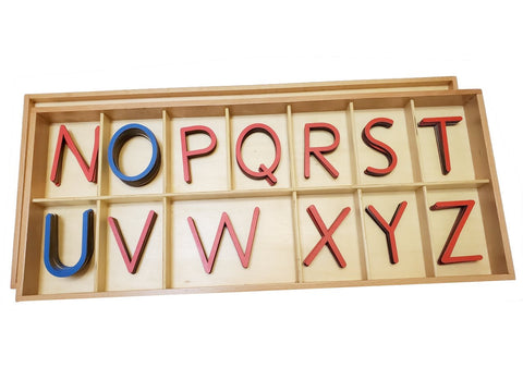 Montessori Material Large Movable Alphabets ( Print ) with Boxes – Pink ...